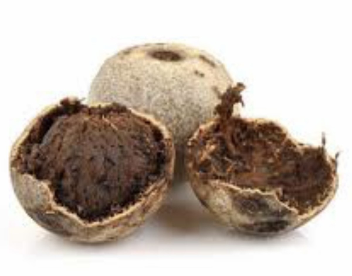 10 Most Weird Fruits in the World - HubPages