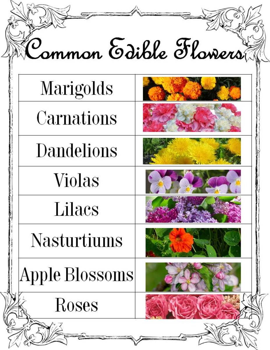 Edible Flowers Chart