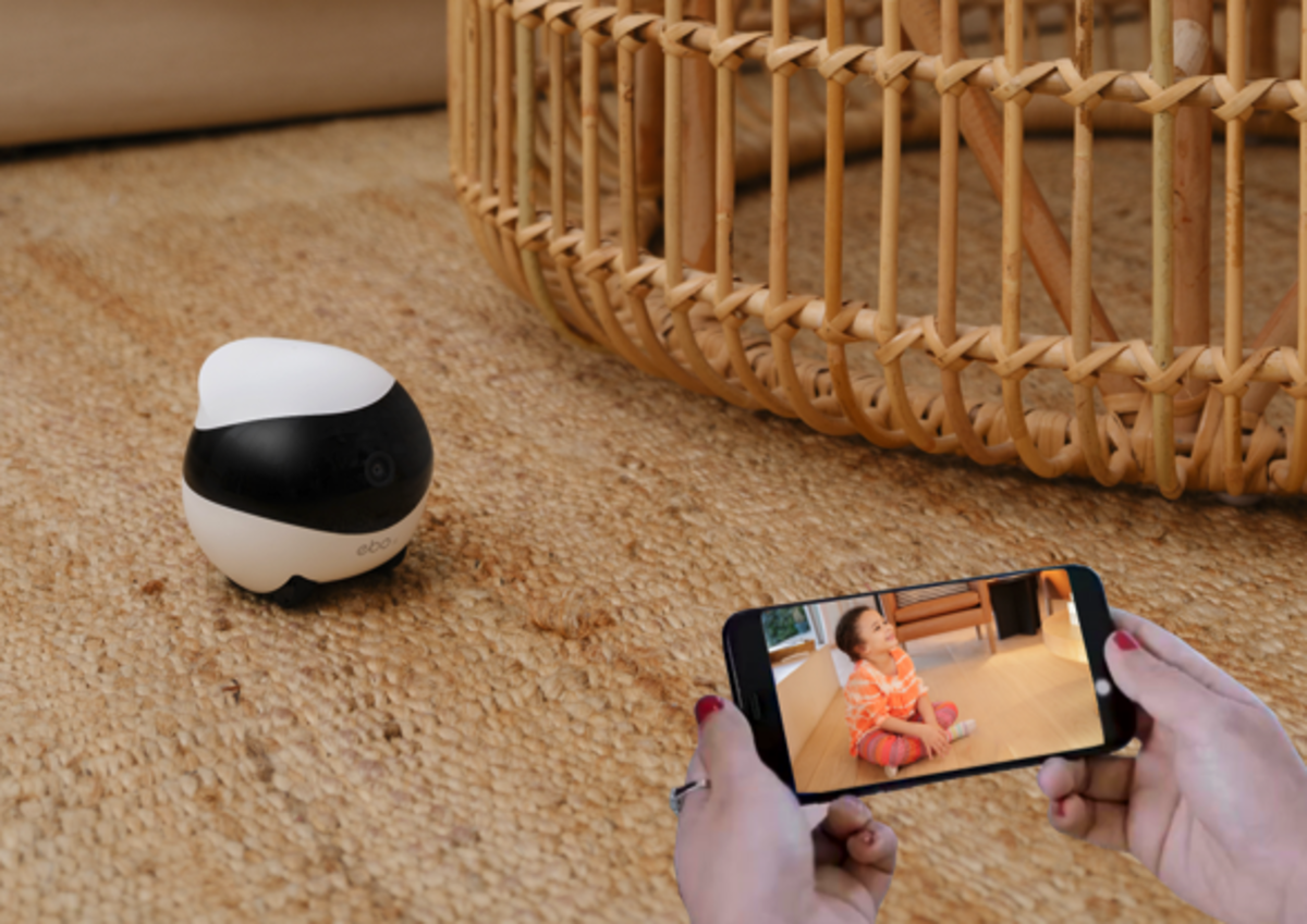 The EBO Is Your Cat’s Smart Companion - HubPages