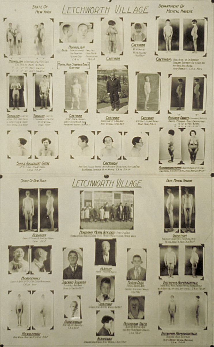 Letchworth Village: New York's Forgotten Horror - HubPages