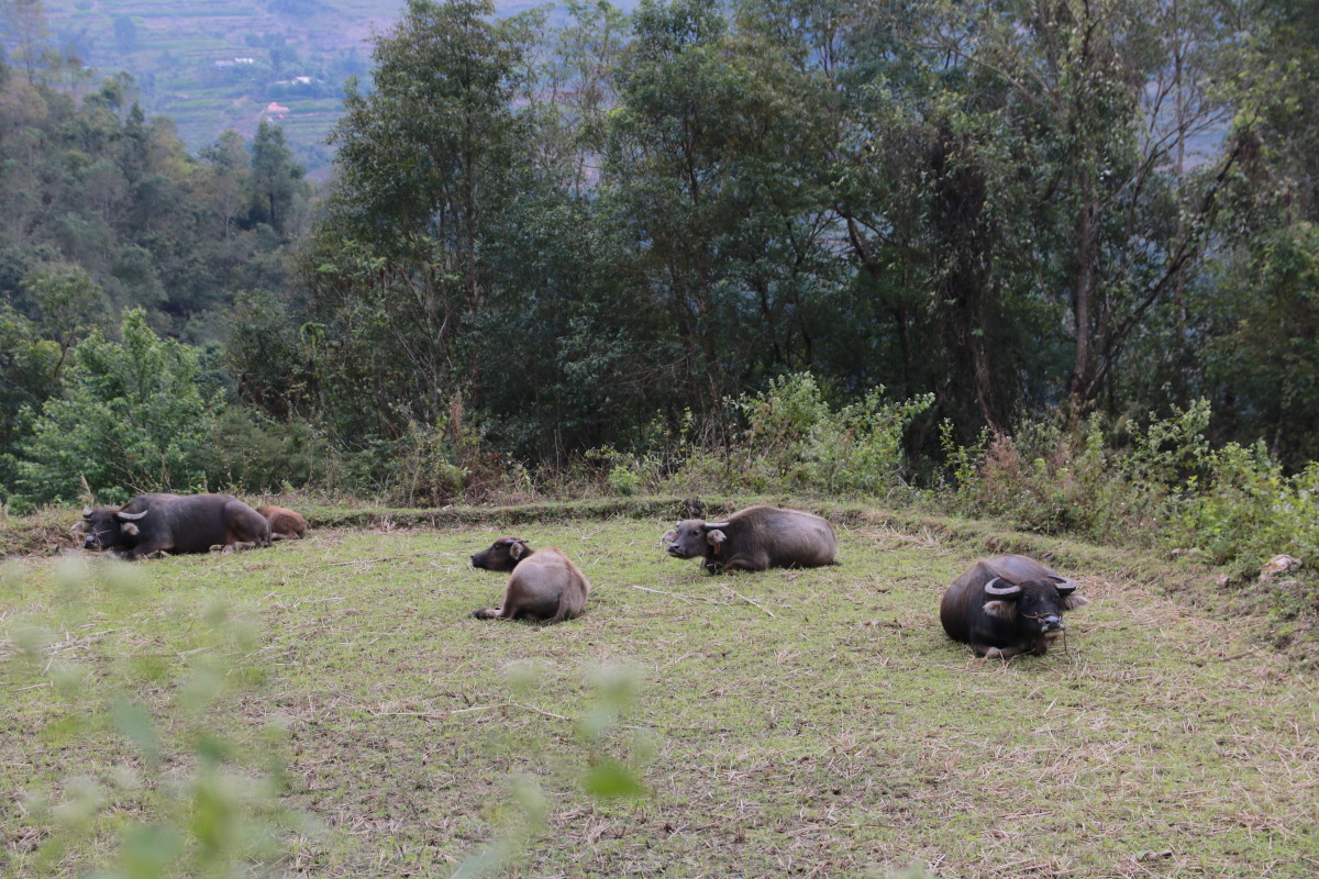 Cao Bang - Bac Can Book Trip (Part 2) - Ultra trail - HubPages