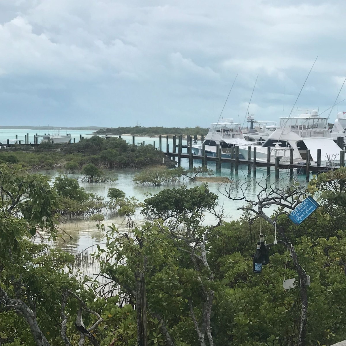 Paradise Awaits: Exploring The Bahamas in the Summer - HubPages