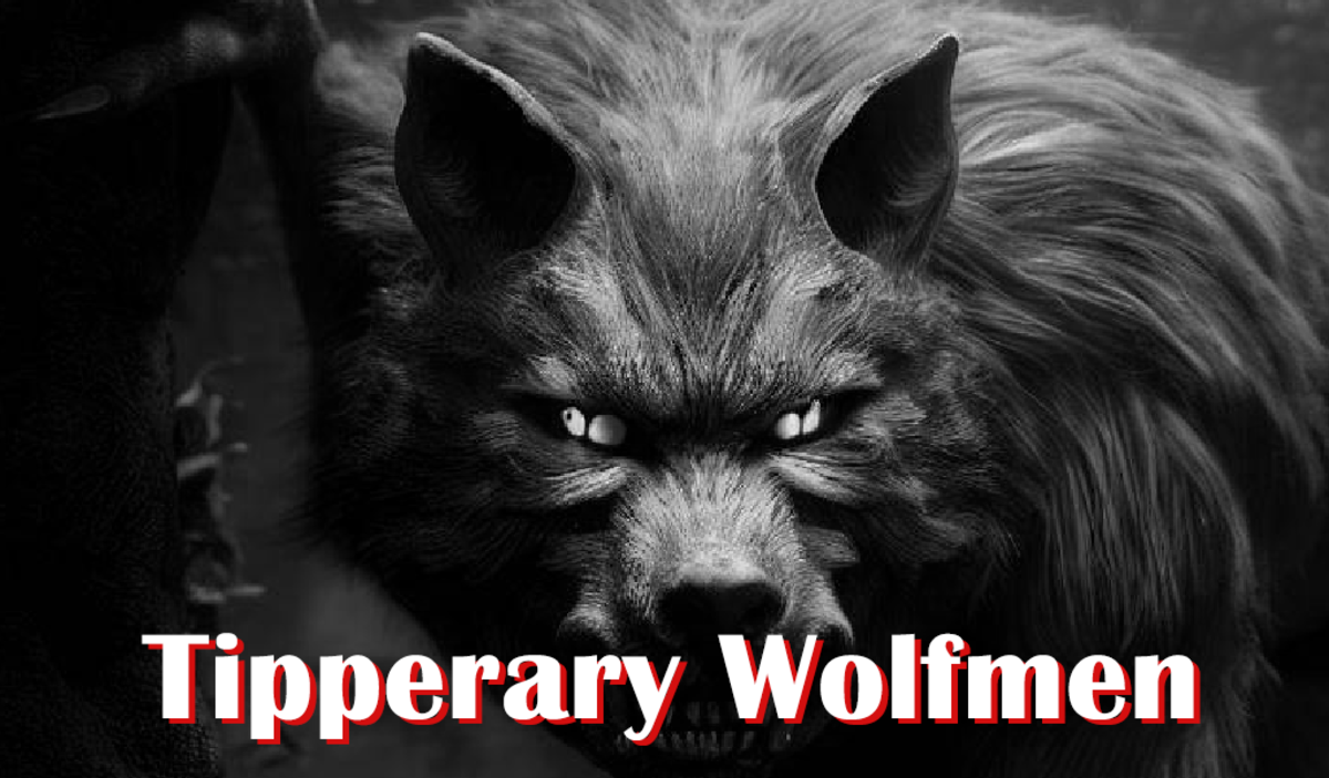 Top 10 Irish Cryptids - HubPages