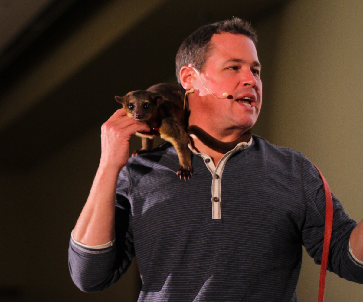 Does Bindi Irwin Support "Animal Abuse"? Ridiculous Steve Irwin and ...