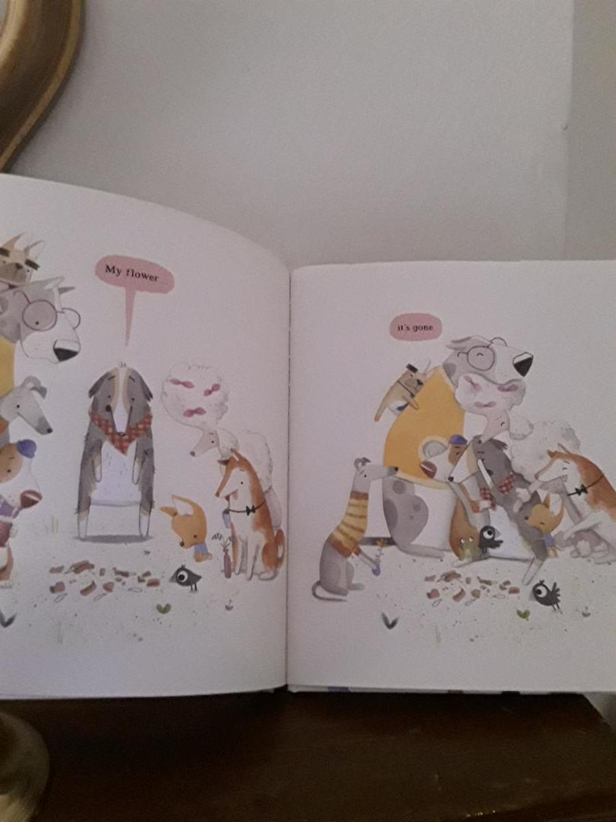 Appreciation for What You Have in Delightful Picture Book and Story for ...