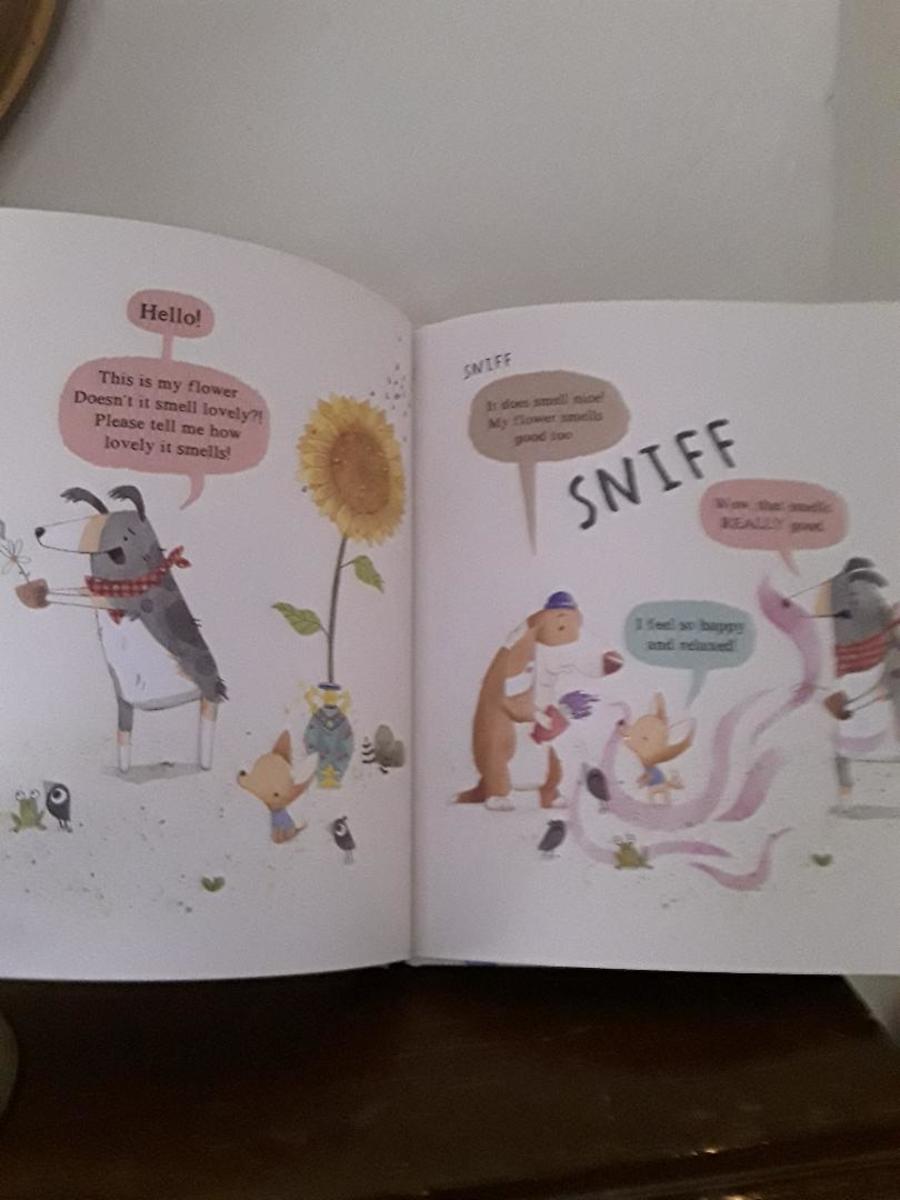 Appreciation for What You Have in Delightful Picture Book and Story for ...