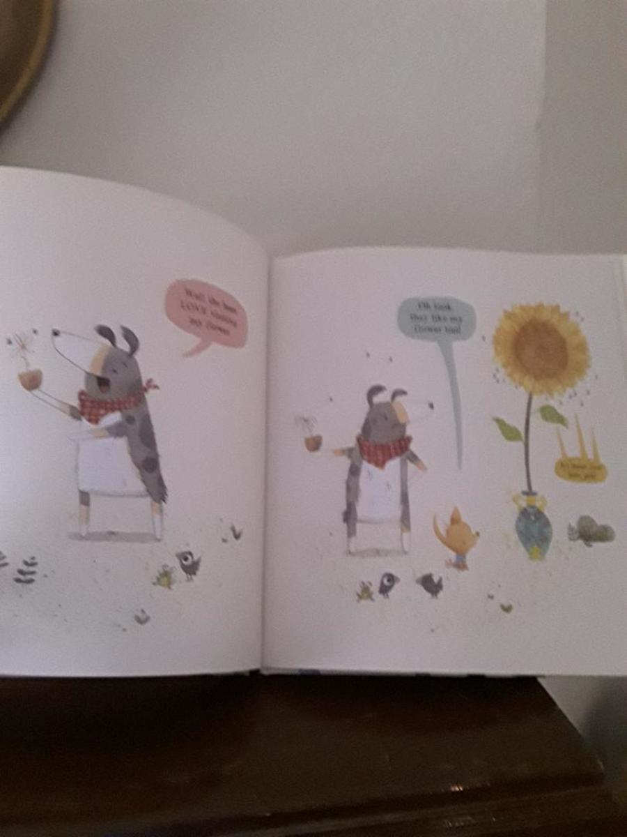 Appreciation for What You Have in Delightful Picture Book and Story for ...