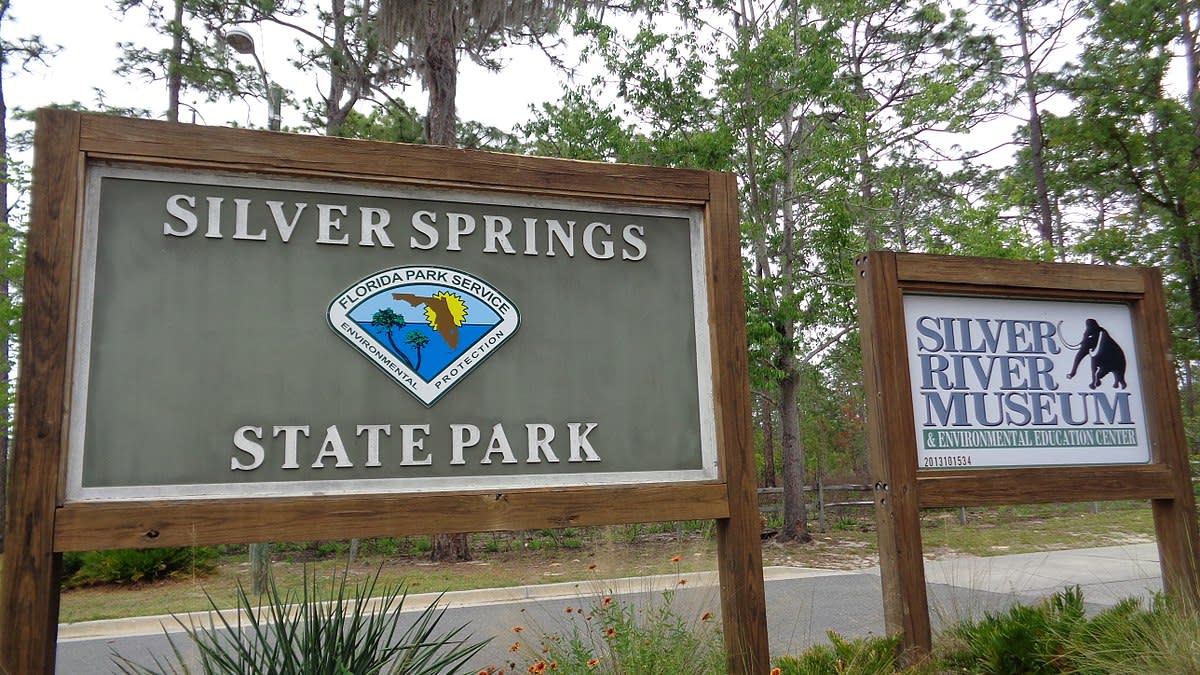 Silver Springs State Park in Florida (The Setting for "Tarzan") - HubPages