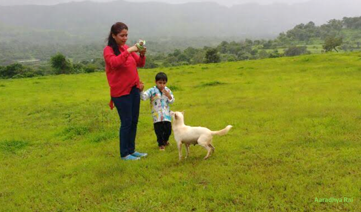 Kattai or Kattakal Alias Dog: Breed Information, Facts and ...