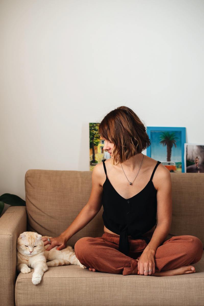 7 Reasons Why Your Cat Sits Next to You but Not on Your Lap - HubPages