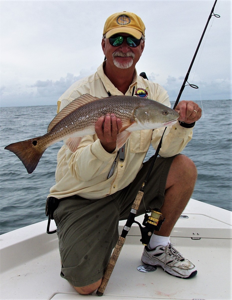 Georgia's Golden Isles Redfish - HubPages