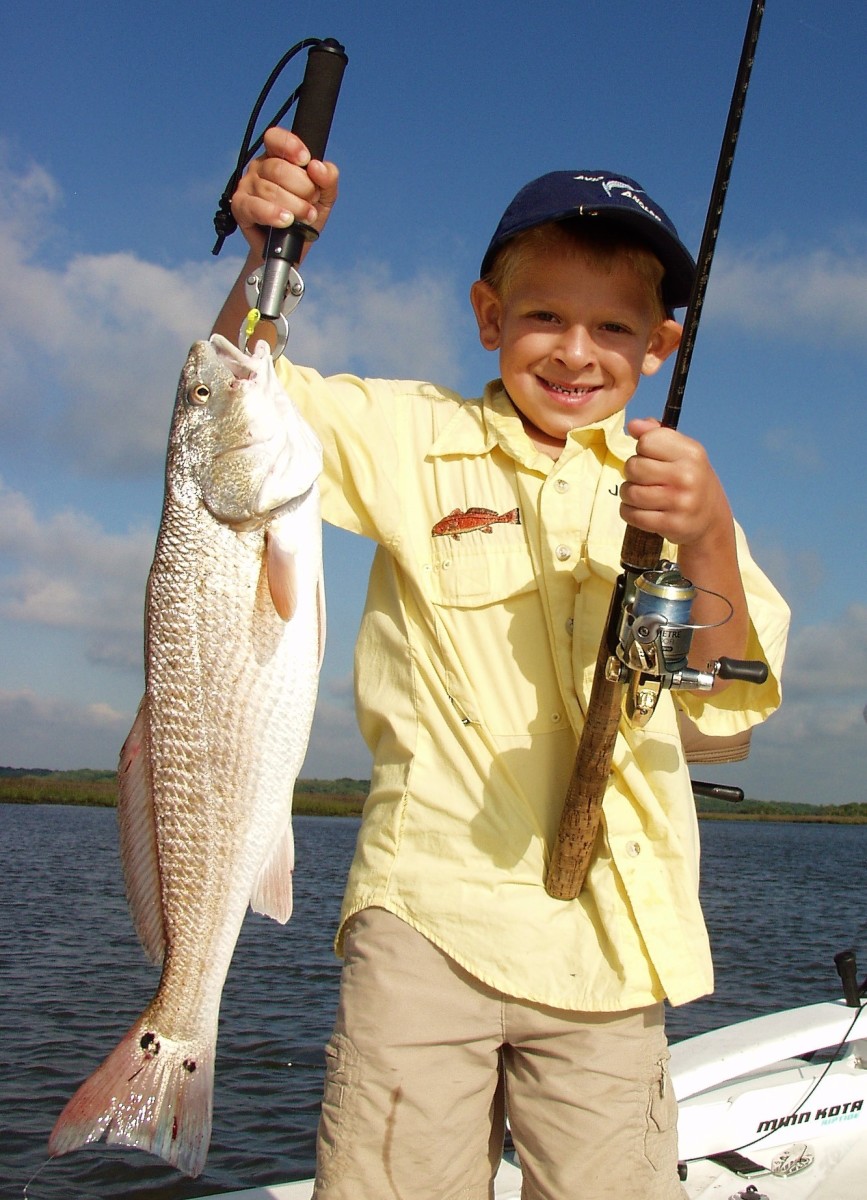 Georgia's Golden Isles Redfish - HubPages