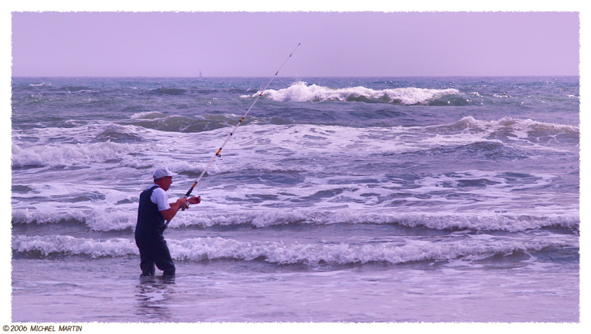 Catching the Voracious Bluefish - HubPages