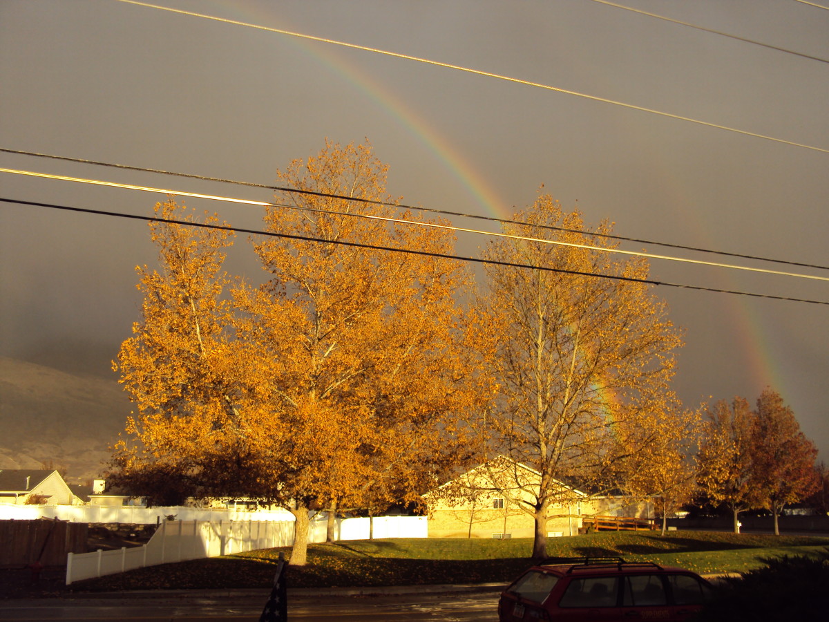 How to Insure That You Get That Just Right Photo - HubPages