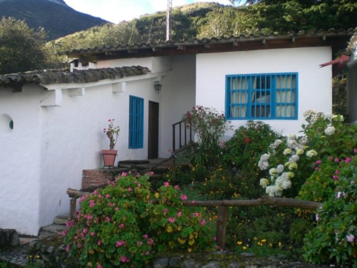 My Love of Windows - HubPages