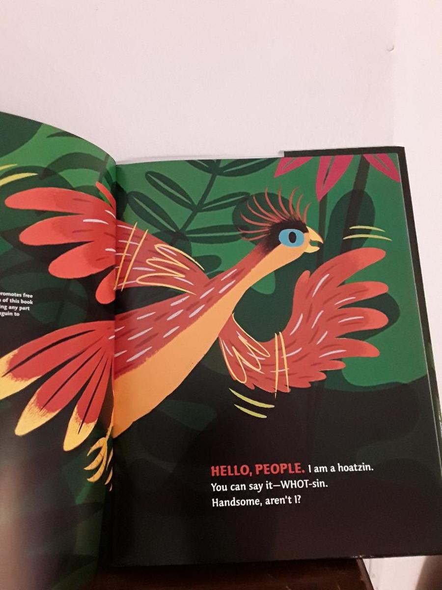 Superpower of the Amazon Rain Forest Hoatzin in Fun Scientific Picture ...