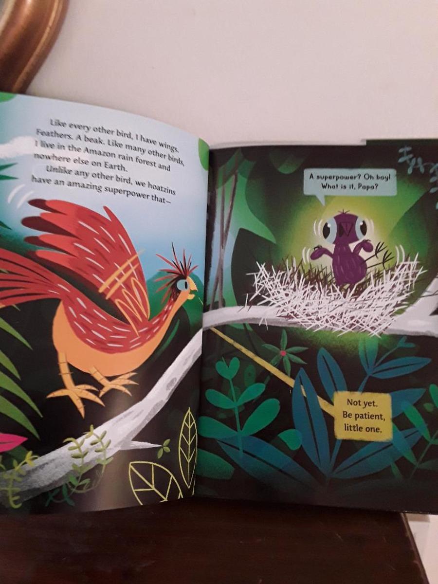 Superpower of the Amazon Rain Forest Hoatzin in Fun Scientific Picture ...