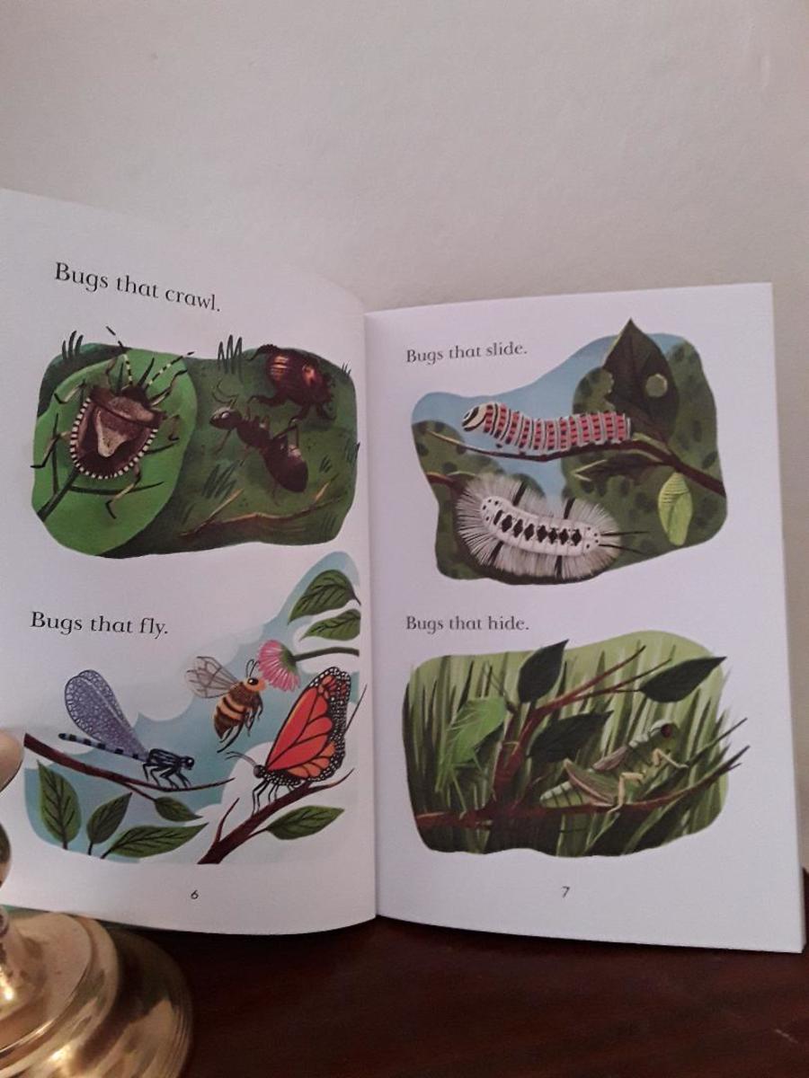 Summer Reading Fun With Bugs, a Dog, and a Loudmouth Bird in 2 Easy ...