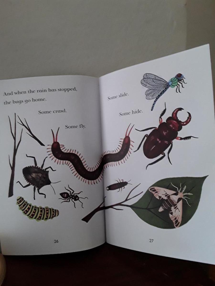 Summer Reading Fun With Bugs, a Dog, and a Loudmouth Bird in 2 Easy ...