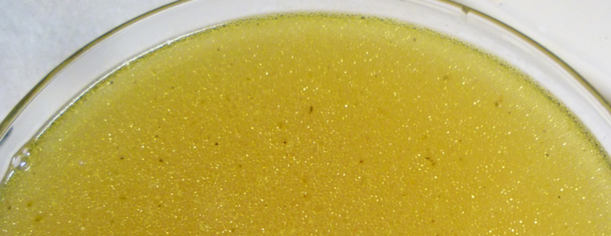 Making Homemade Chicken Stock - HubPages