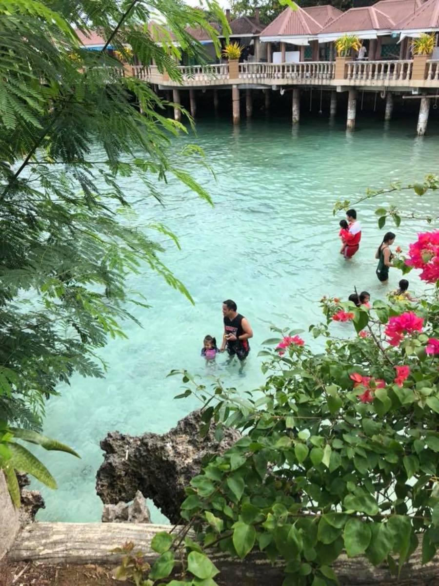 One Cheap Philippine Travel Guide to Cebu and Bohol - HubPages