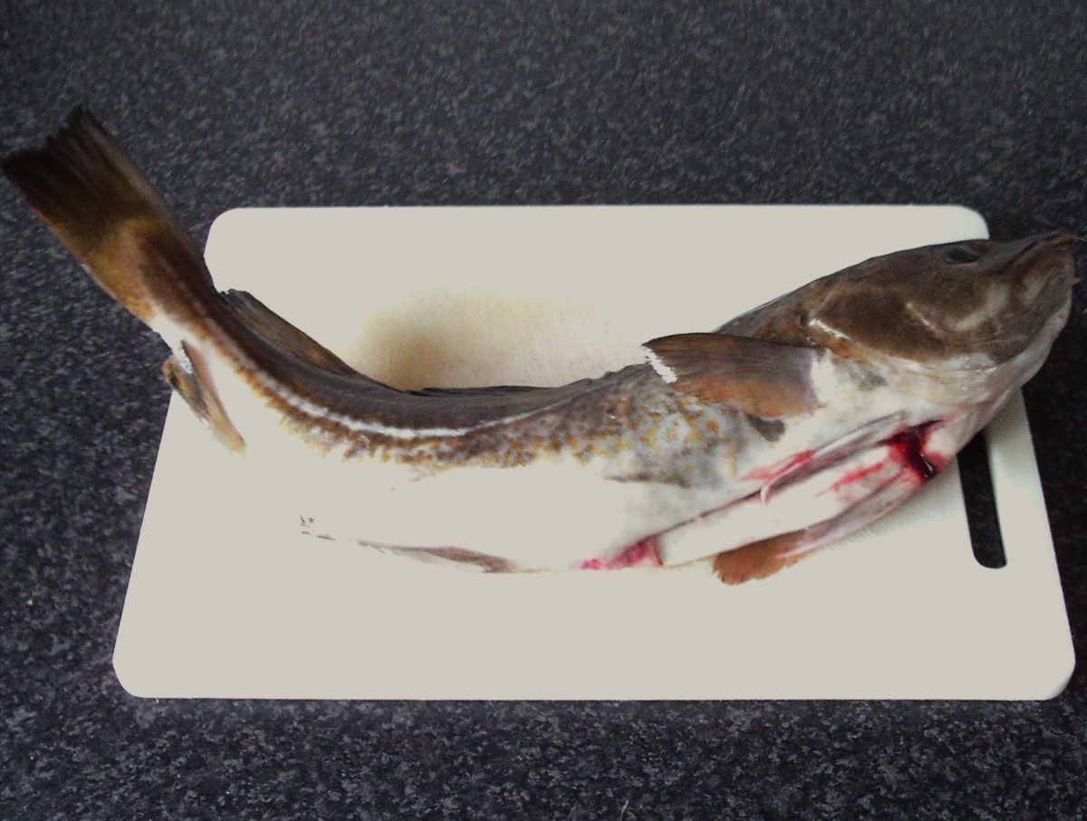 Potted Atlantic Cod Fish Recipes - HubPages