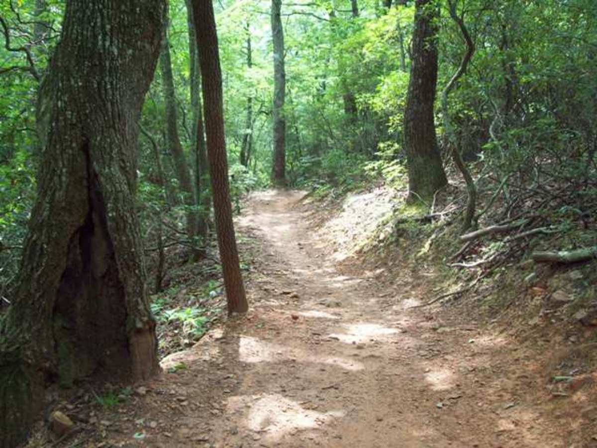 Mountain Biking Bent Creek - Asheville, NC - HubPages