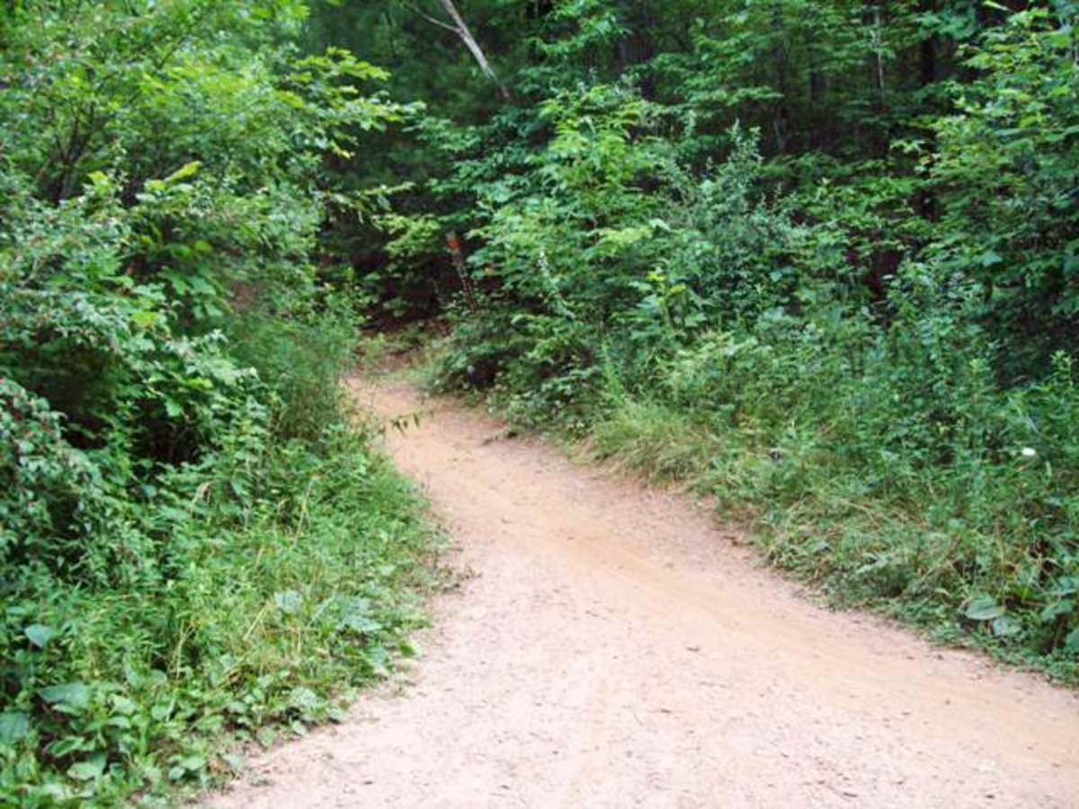Mountain Biking Bent Creek - Asheville, NC - HubPages