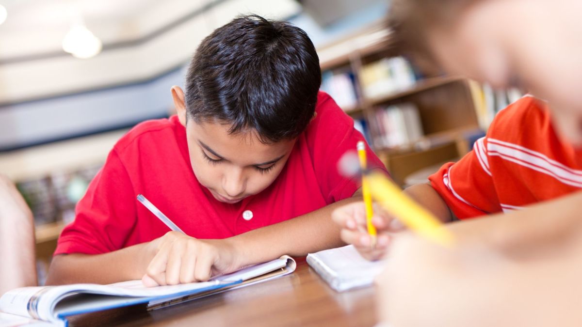 What Is The Purpose Of IQ Testing In The Public School Setting