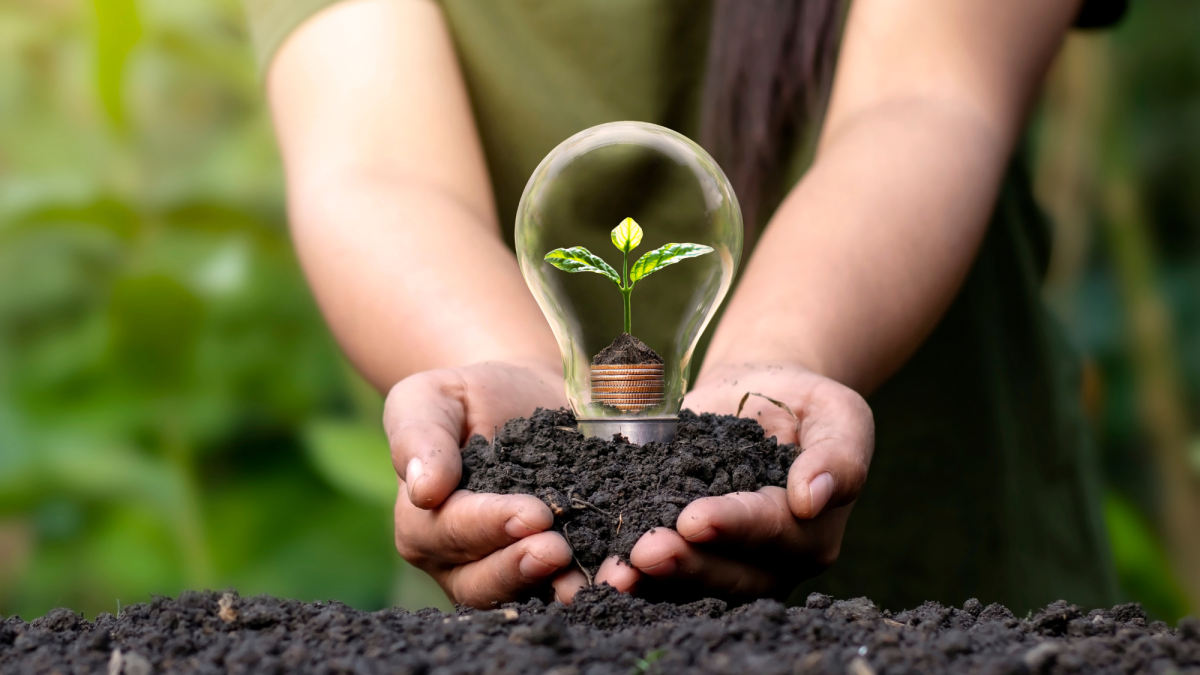 27 Ways Kids Can Help Protect The Environment WeHaveKids 27 Ways Kids Can Help Protect The Environment WeHaveKids