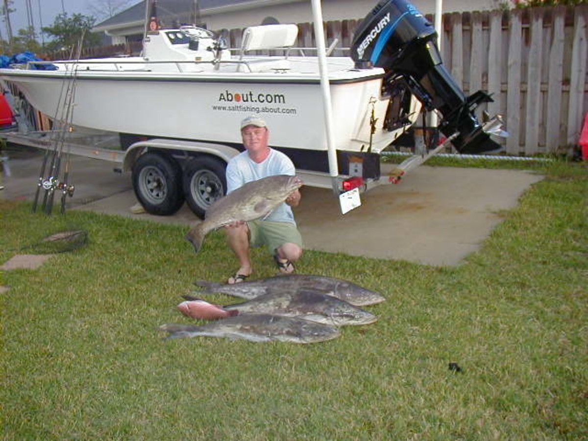 Catching Grouper Before Bag and Size Limits - HubPages