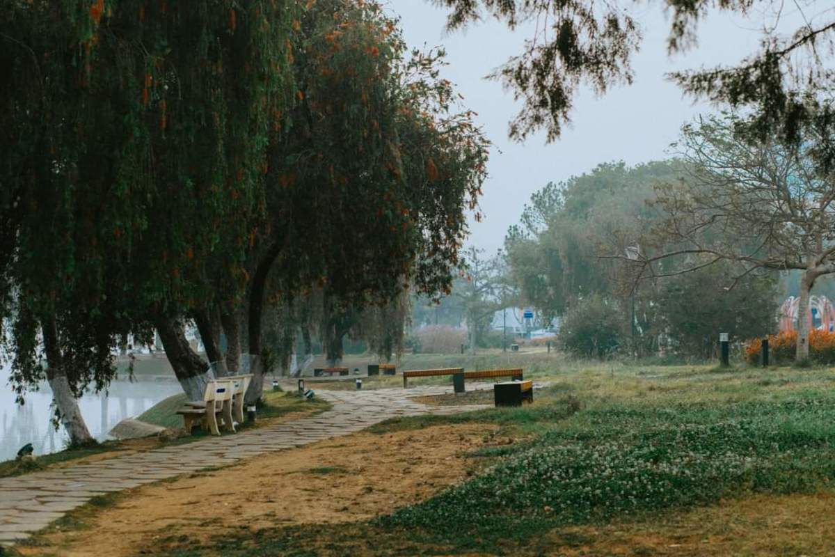 Da Lat: The Ultimate Destination for Heartbreak Recovery - HubPages