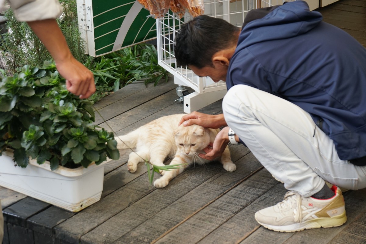 Da Lat: The Ultimate Destination for Heartbreak Recovery - HubPages