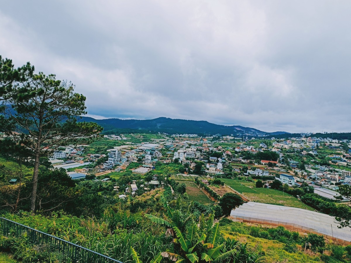Da Lat: The Ultimate Destination for Heartbreak Recovery - HubPages