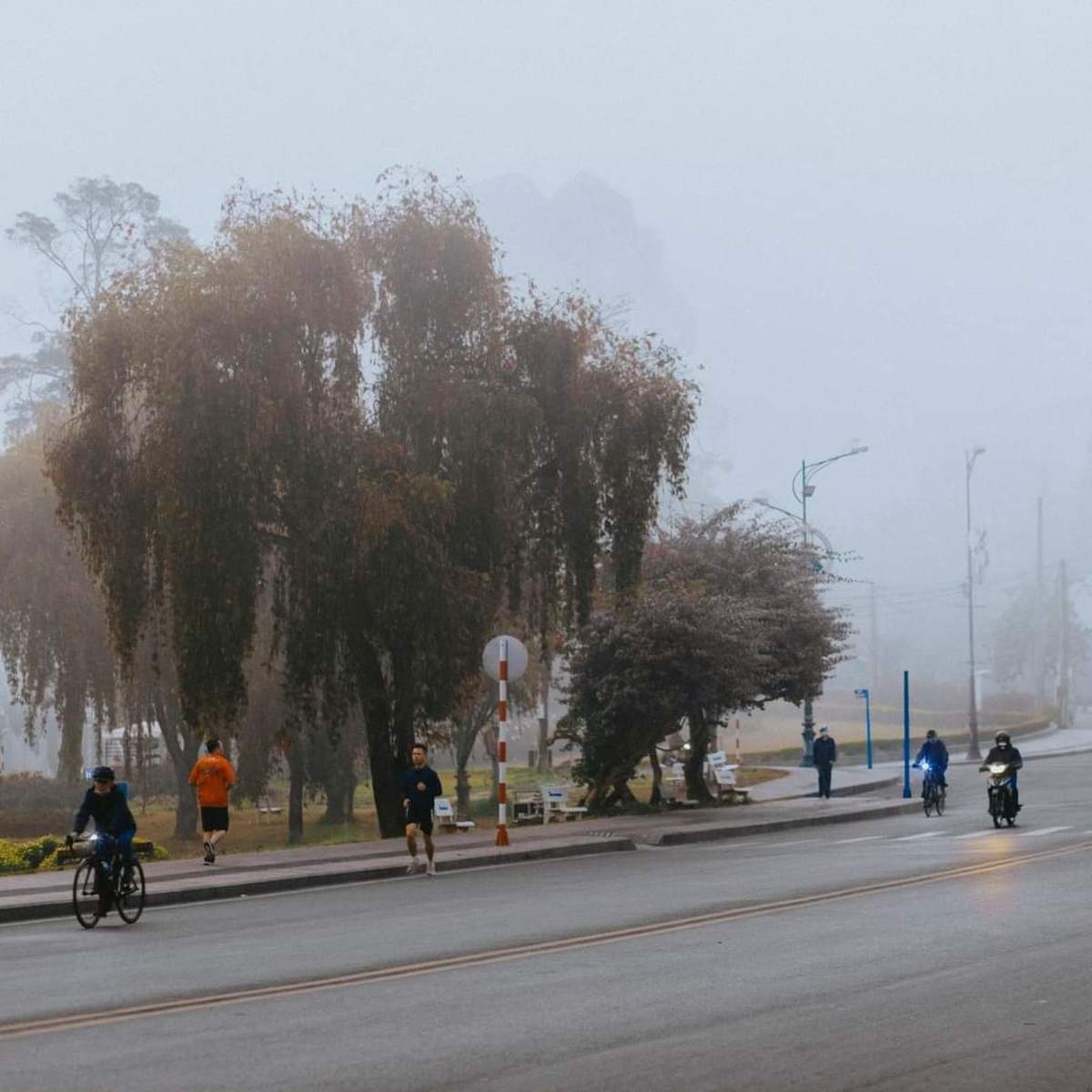Da Lat: The Ultimate Destination for Heartbreak Recovery - HubPages