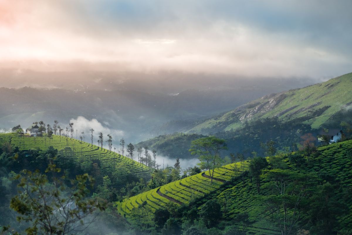 Best 5 Travel Destinations in Kerala - HubPages