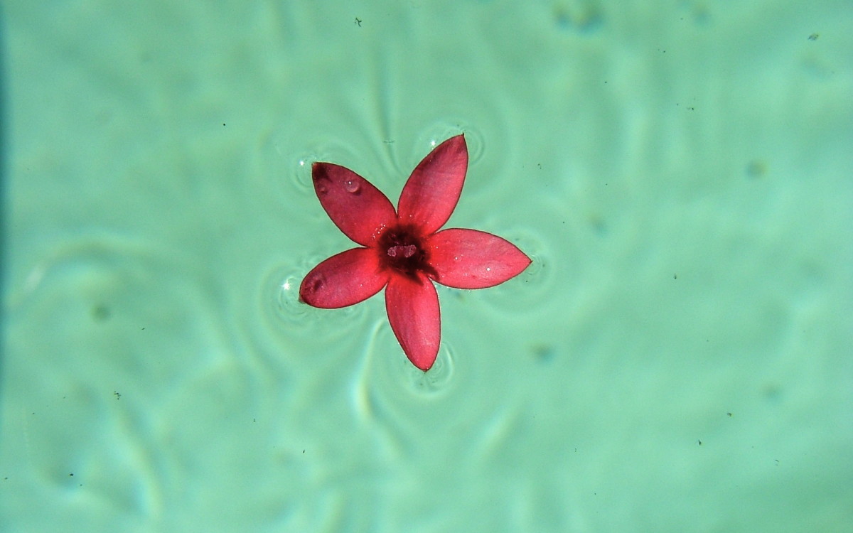 Summer Fun: Five Engaging Activities to Enjoy With Your Child - HubPages