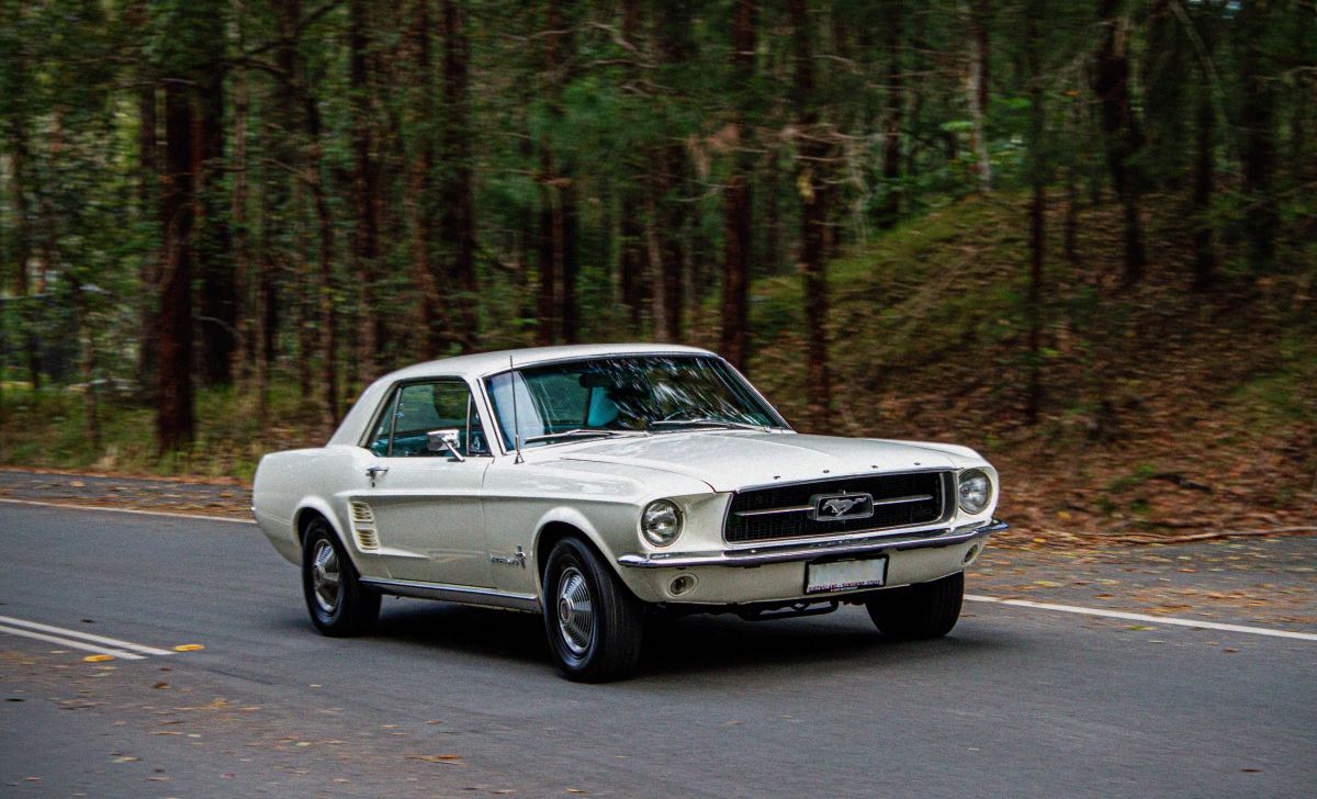 Man Buys Beater Mustang for $800 and Embarks on a Journey to Fully ...