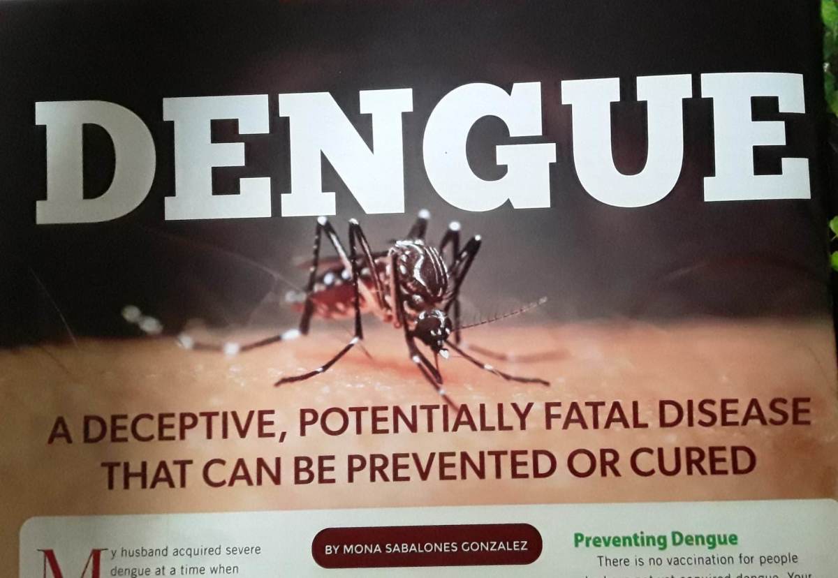Dengue Awareness Month – A Deceptive, Potentially Fatal Disease That ...