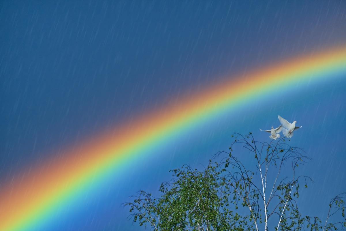 80 Songs That Mention the Rainbow - HubPages