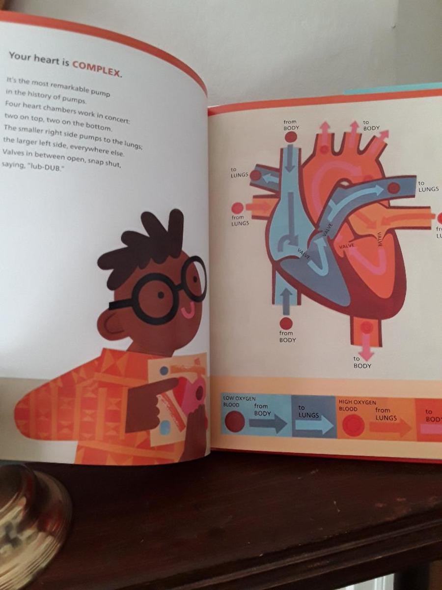 Learning About the Heart in Creatively Written Picture Book for Stem ...