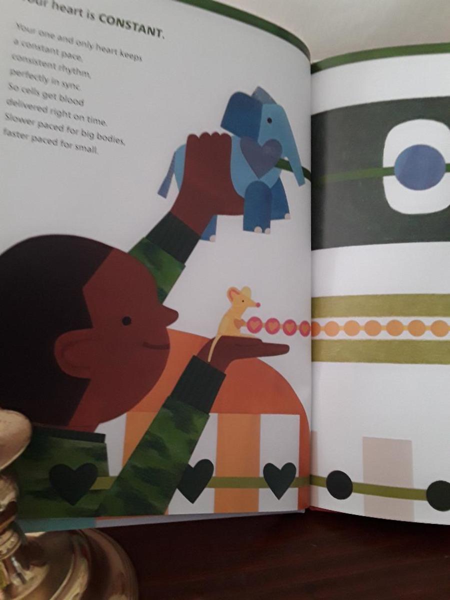 Learning About the Heart in Creatively Written Picture Book for Stem ...
