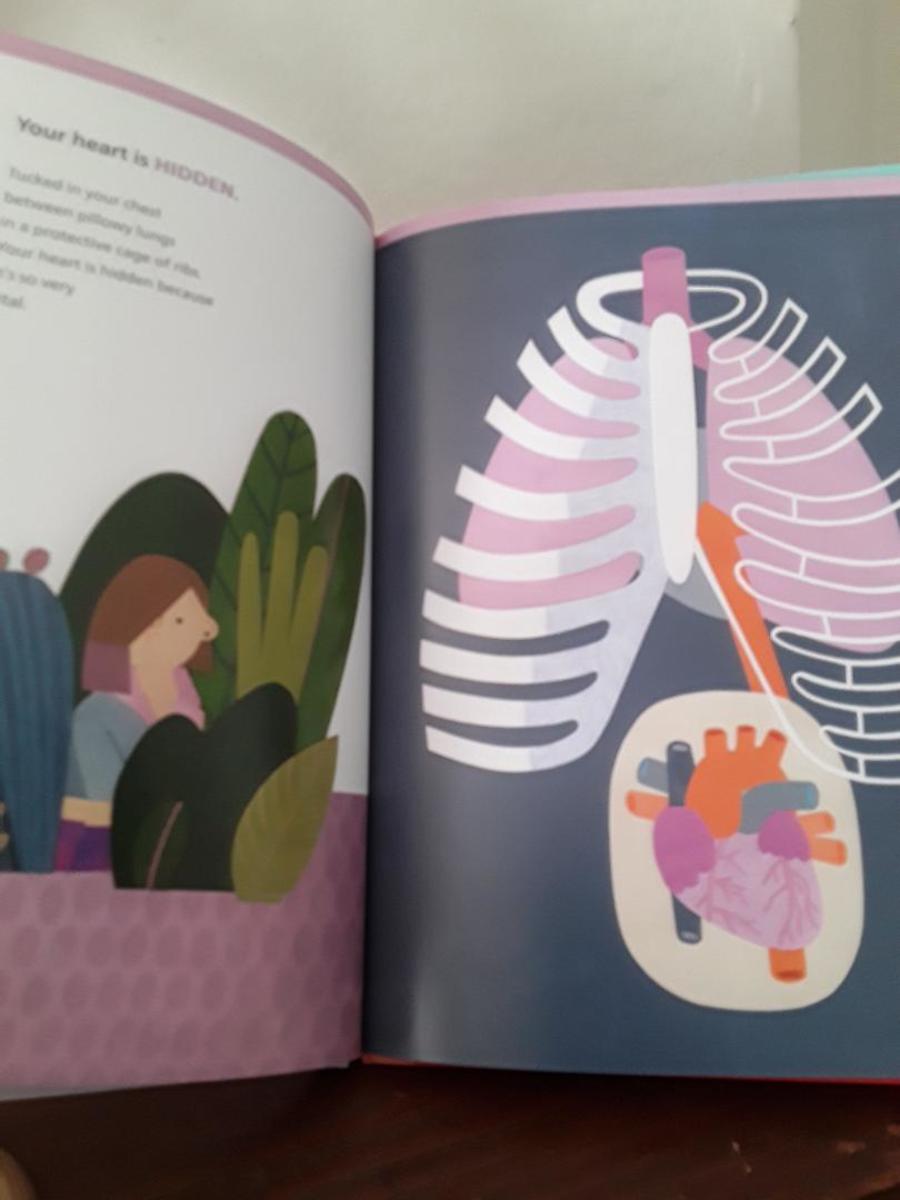 Learning About the Heart in Creatively Written Picture Book for Stem ...