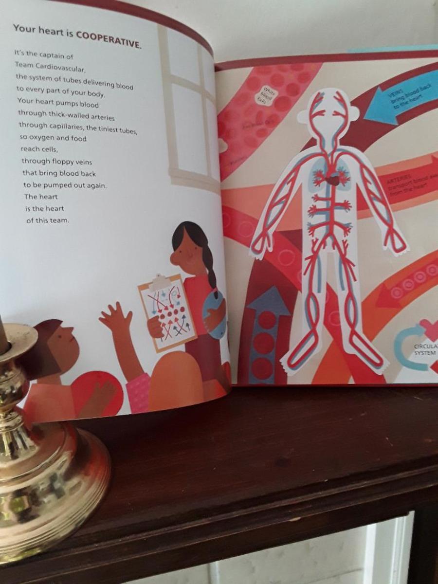 Learning About the Heart in Creatively Written Picture Book for Stem ...