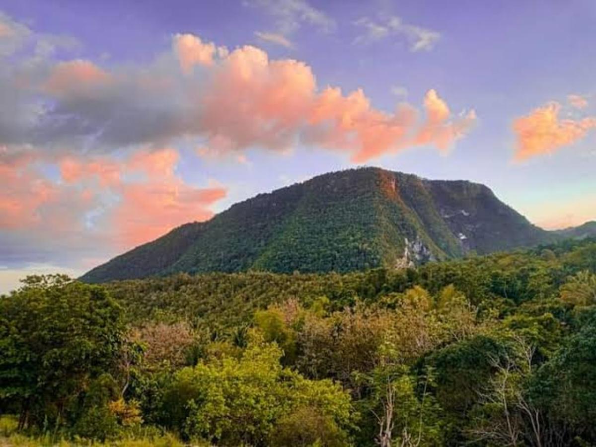 Philippine Mountain Goddesses: The Mysterious Maria Cacao and Her ...