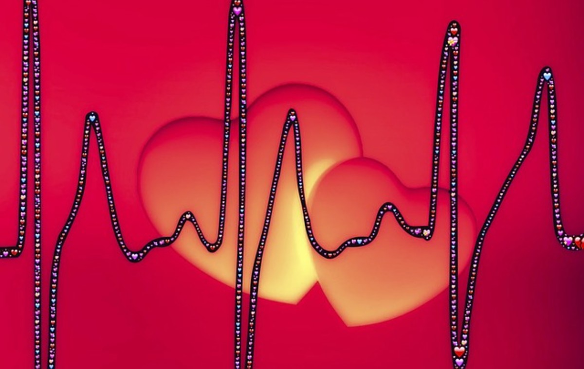 Beyond 20 Weeks: Using a Stethoscope to Hear Your Unborn Baby’s ...