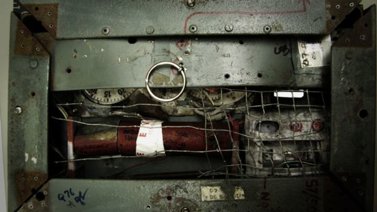 Marjorie Diehl-Armstrong and the 2003 Pizza Bomber Bank Heist - HubPages