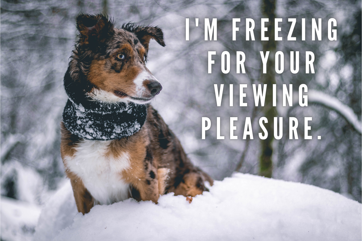 150 Cold Weather Quotes And Caption Ideas For Instagram TurboFuture 150-cold-weather-quotes-and-caption-ideas-for-instagram-turbofuture