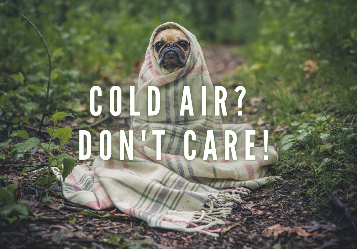 Cold Weather Quotes Funny Cold Weather Quotes Funny