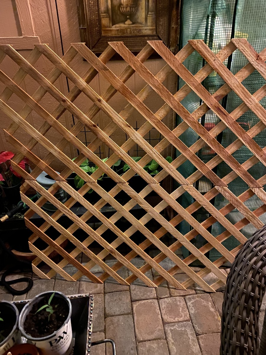 3 Trellis Ideas For a Small Patio - HubPages